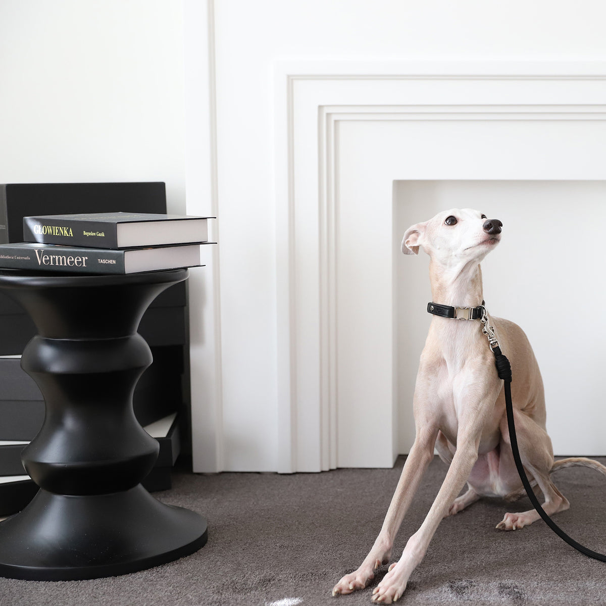 SADDLE STRAP COLLAR – hozi