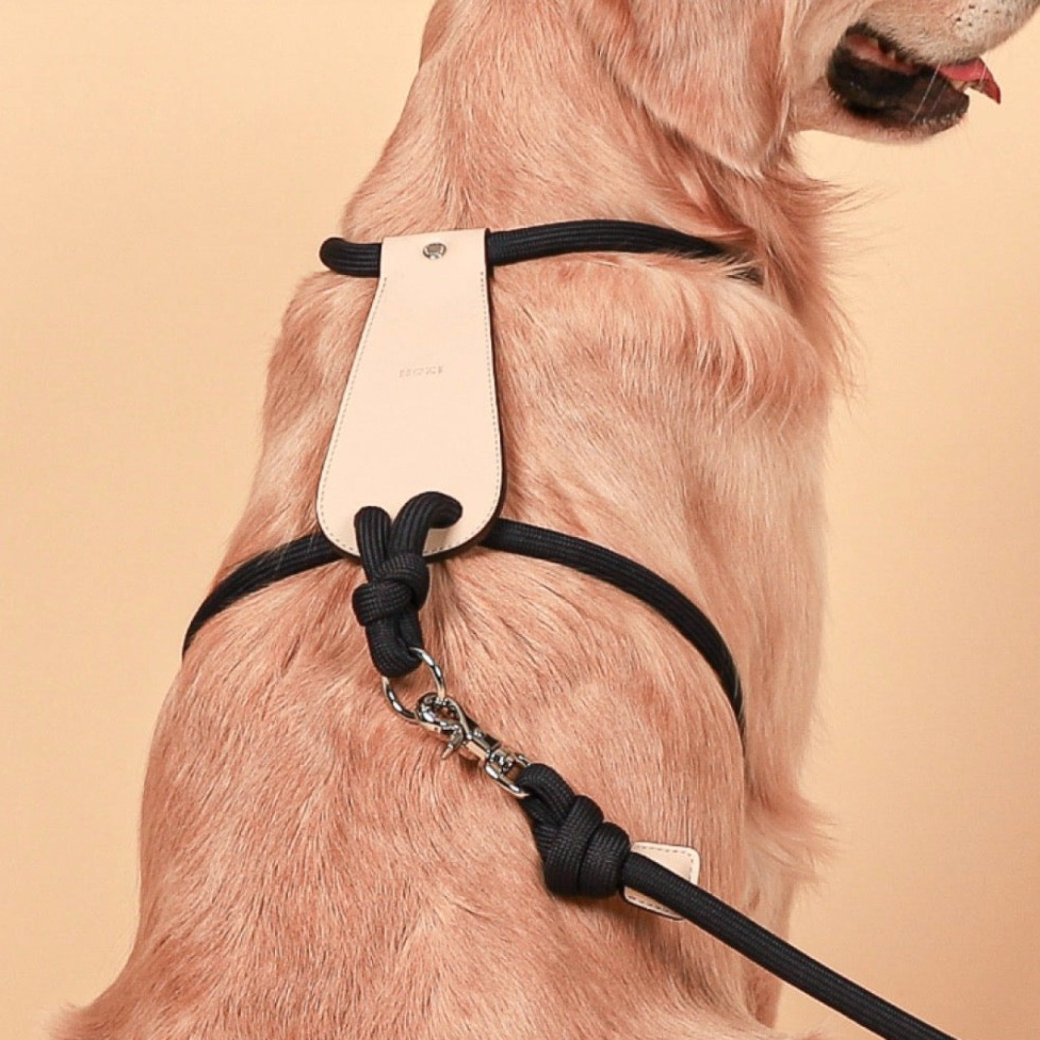 [NEW] Essential Harness - Navy – hozi